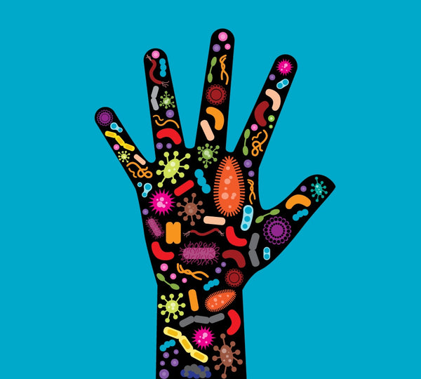 11 All-Natural Weapons You Need in Your Immunity Arsenal