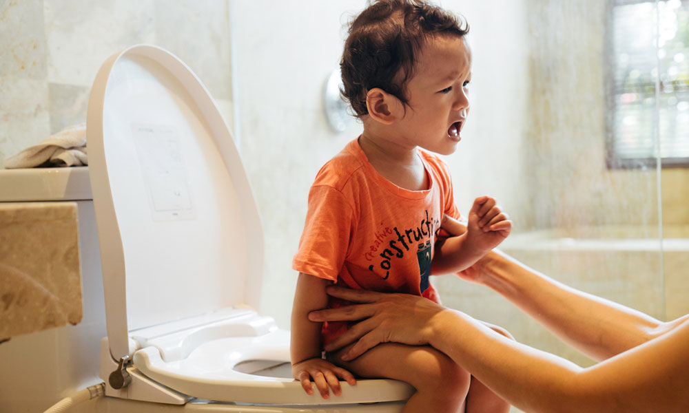 Why Toddlers Don’t Want to Poop in the Potty and What to Do | ParentCo.